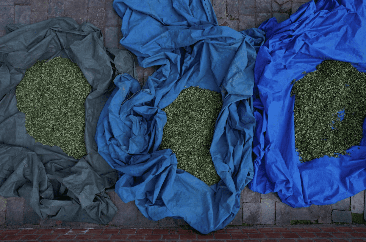 Michael Shaikh - The Last Sweet Bite